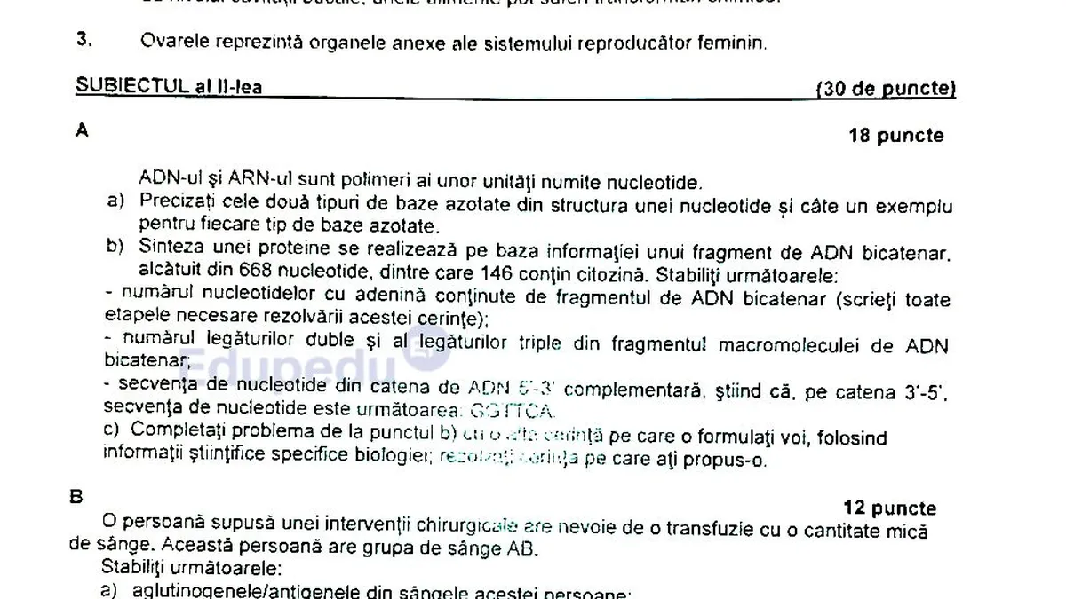 Subiecte simulare BAC 2025: Fizică, Chimie, Biologie, Informatică ...