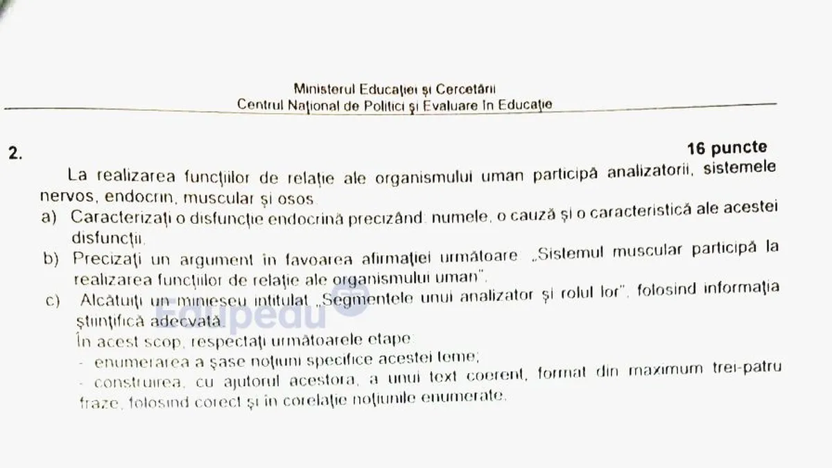 Subiecte simulare BAC 2025: Fizică, Chimie, Biologie, Informatică ...