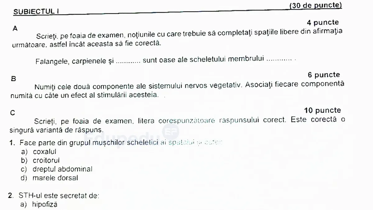 Subiecte simulare BAC 2025: Fizică, Chimie, Biologie, Informatică ...