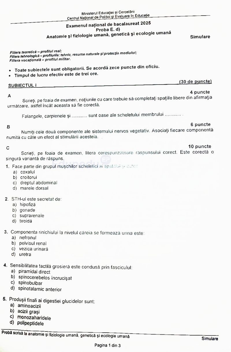 Subiecte simulare BAC 2025: Fizică, Chimie, Biologie, Informatică ...