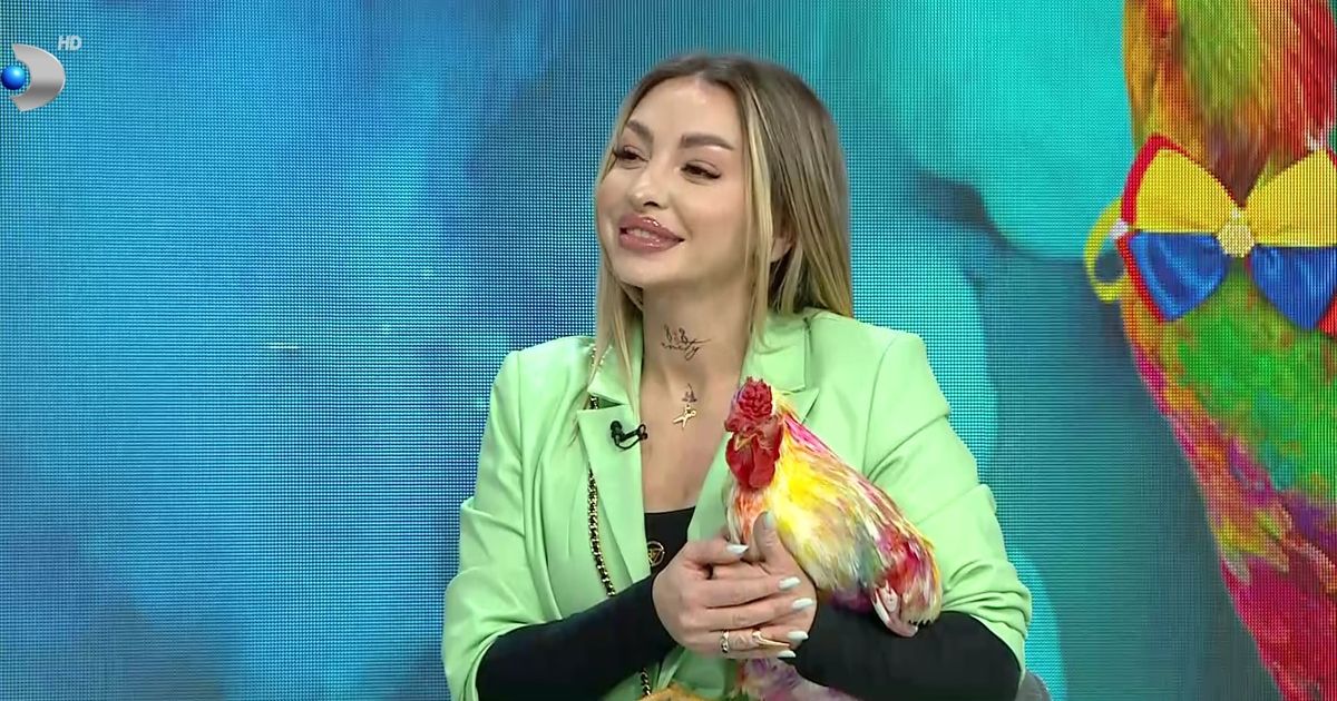 VIDEO „Și cocoșul se poate vopsi”. Animalele de companie, schimbări de ...
