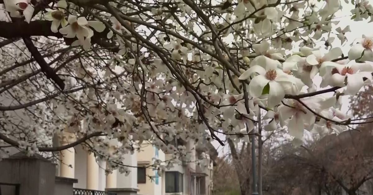 VIDEO Ce faci în weekend, cu Claudia Costandiș. Top cele mai bune ...