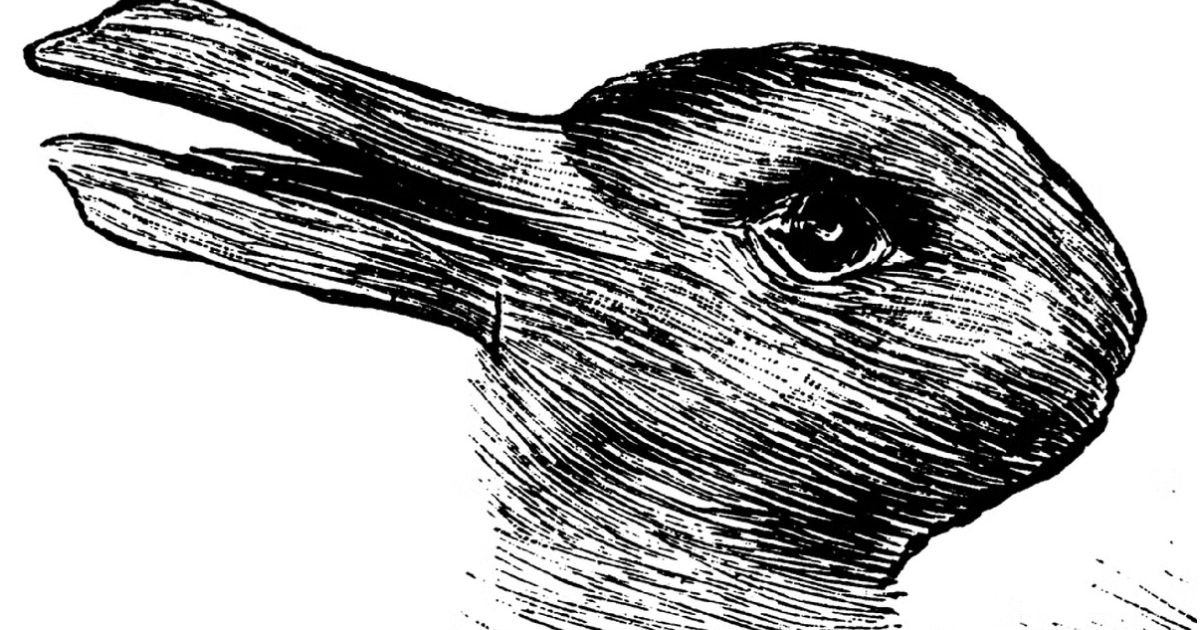 Vezi un iepure sau o rață? O iluzie optică veche de 133 de ani îți ...