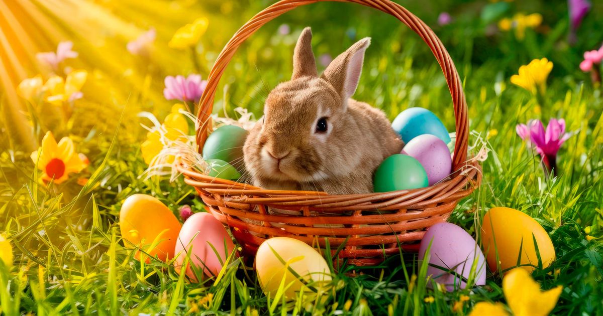 Când vine Iepurașul de Paște în 2025. Pe ce dată vor primi cadouri ...