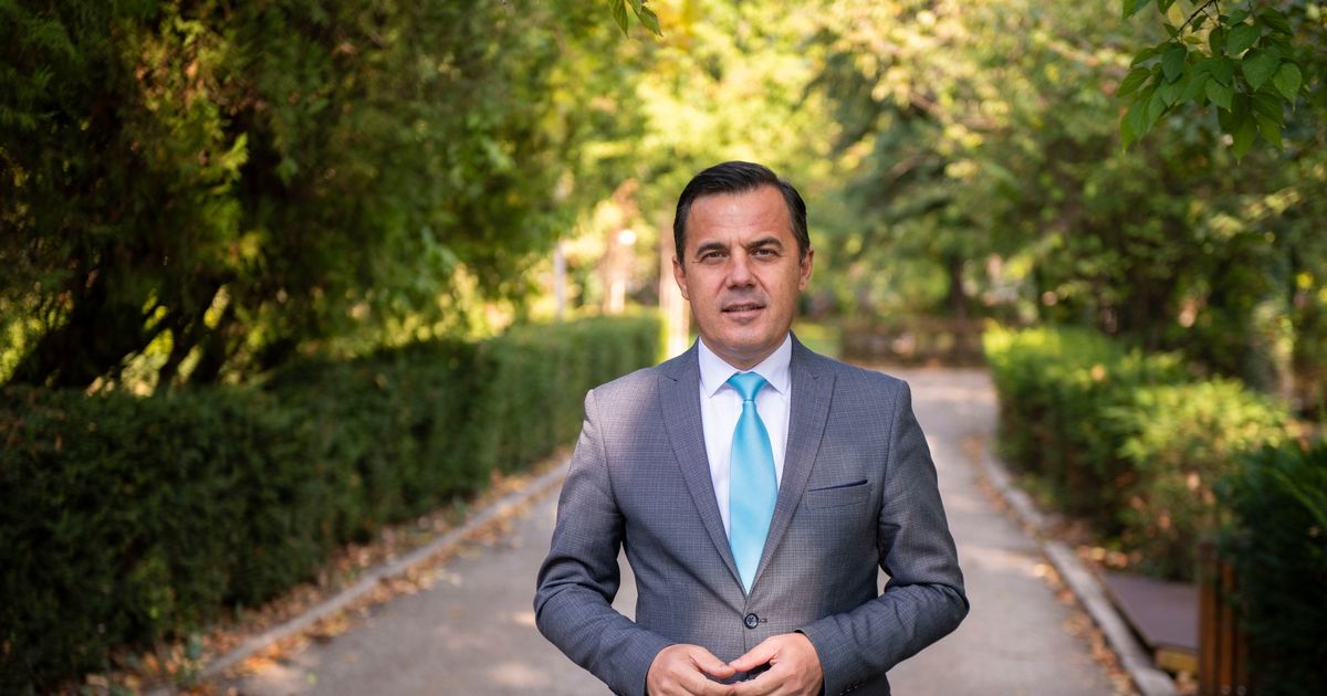 Ion Ștefan, fost ministru al Dezvoltării Regionale, a fost internat de ...