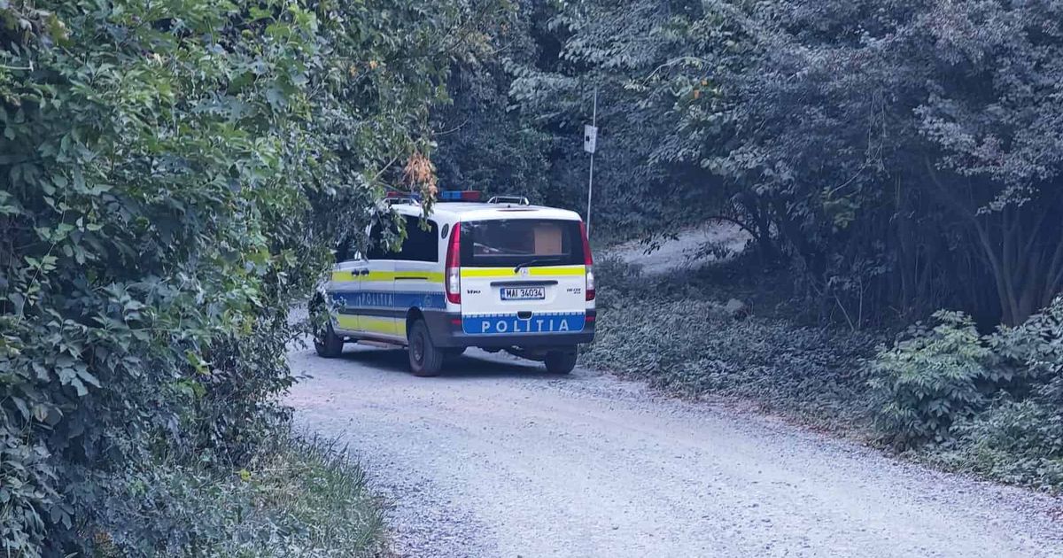 Și-a găsit iubitul spânzurat în pădure! Descoperire cutremurătoare ...