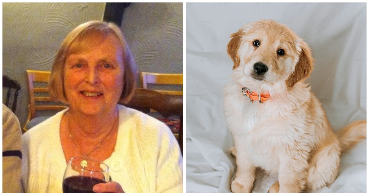 O femeie a murit după ce cățelul nepoatei sale a lins-o pe picior ...
