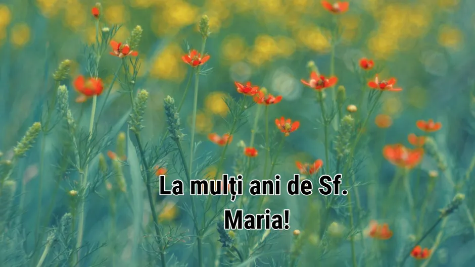 Felicitări de Sf. Maria: Cele mai frumoase imagini cu ”La mulți ani” - Stirile Kanal D
