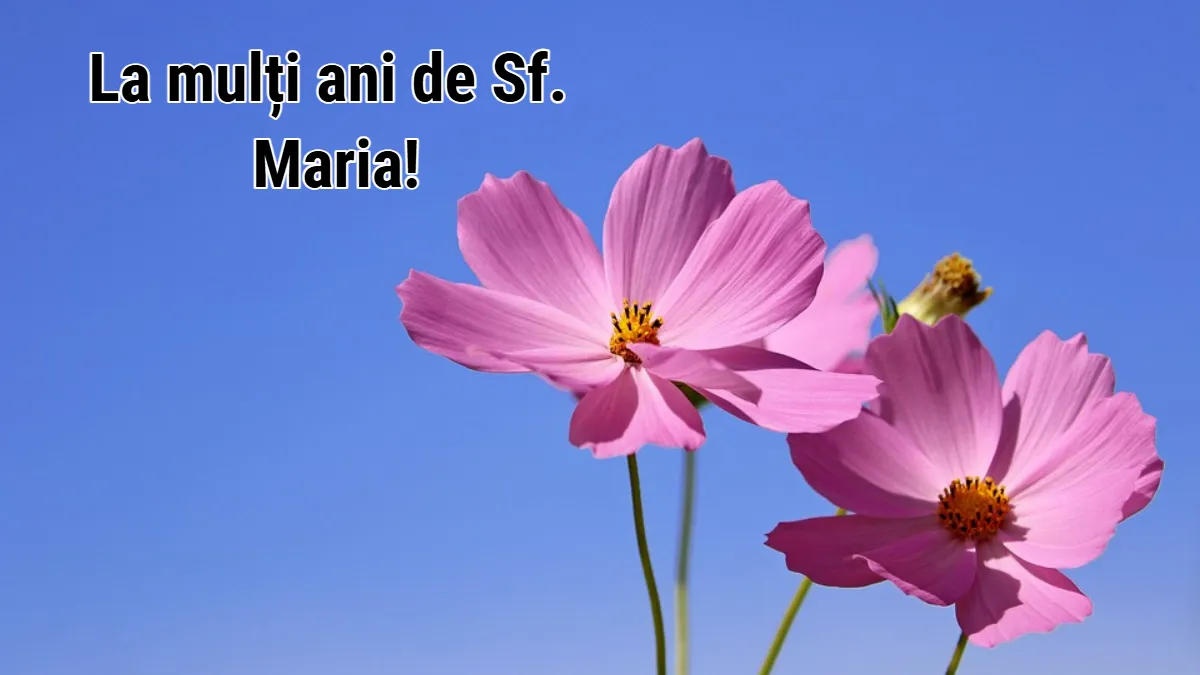Urări de Sfânta Maria: Mesaje cu La mulți ani pentru sărbătoriții zilei ...