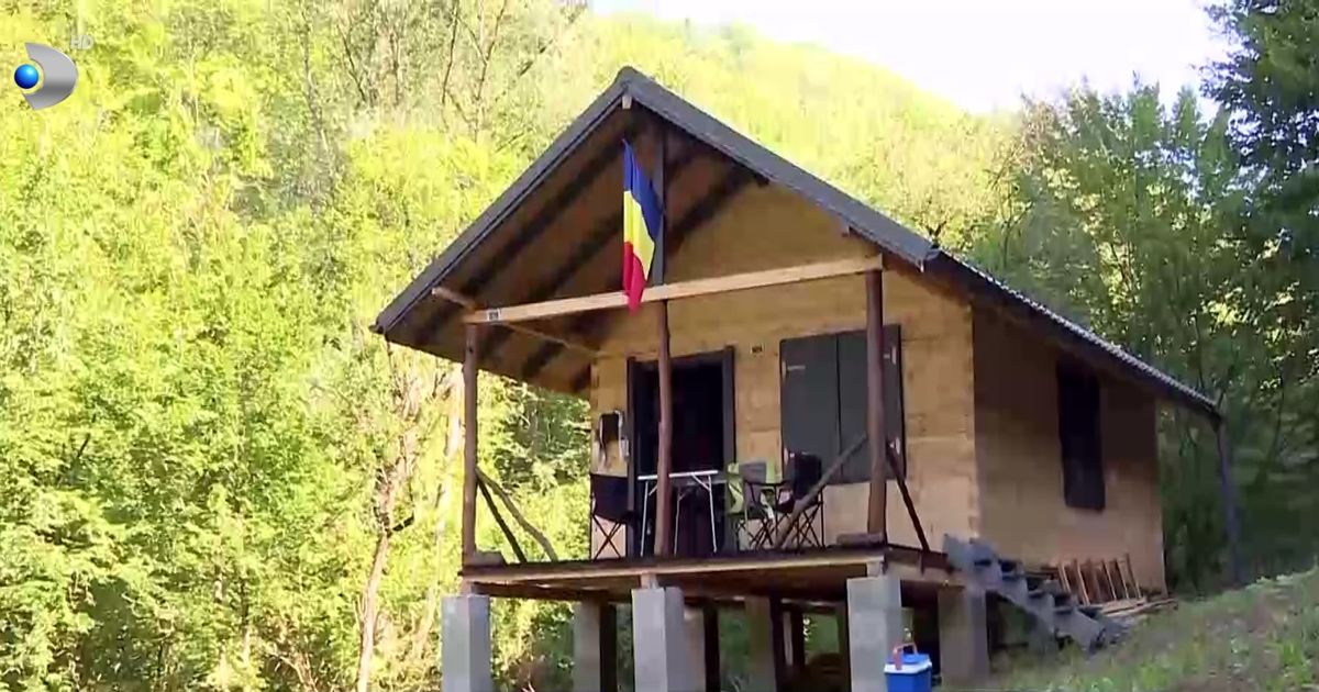 VIDEO „Simplu, dar frumos”. Cazare cu lupi, în Munții Apuseni - Stirile ...