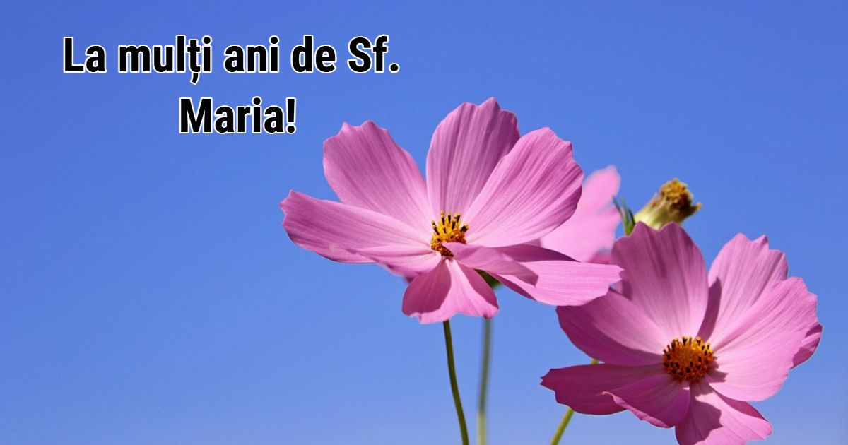 Mesaje creștine de Sf. Maria Mică 2025 - Stirile Kanal D