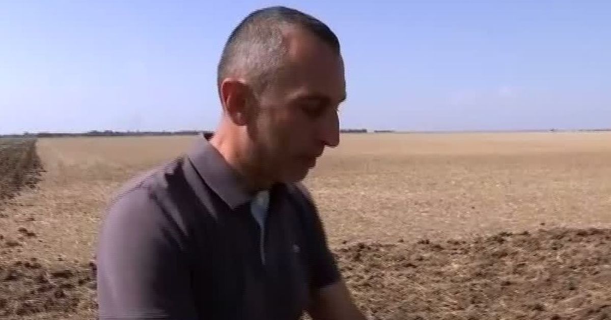 VIDEO Seceta cronică lovește fermierii din Buzău: recolte sub așteptări ...