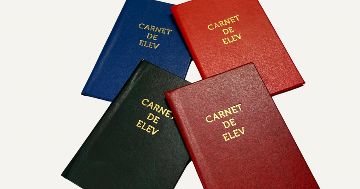 (P) Mai este de interes carnetul de elev? Aflați ce facilități aduce ...