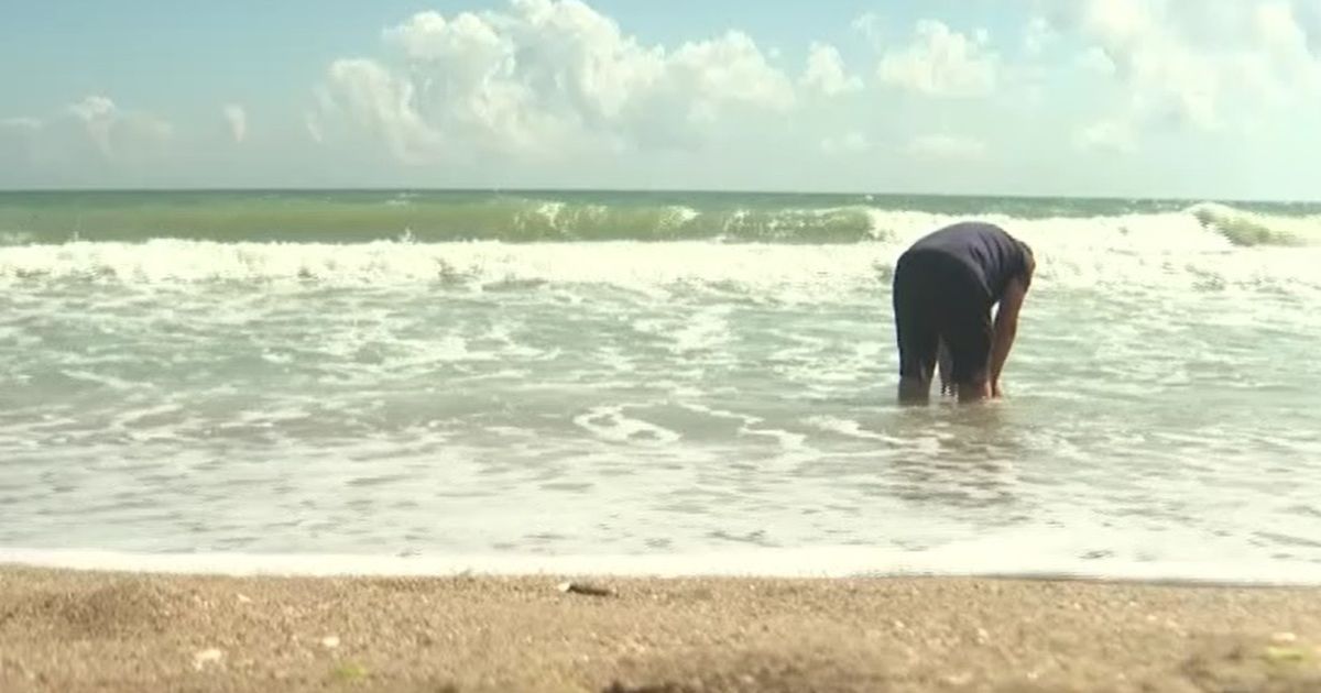 VIDEO Final de sezon estival la Vama Veche: „E mai bine ca oriunde pe ...