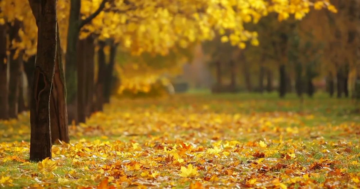 Echinocțiul de toamnă – 22 septembrie 2025. Tradiții pentru această zi ...