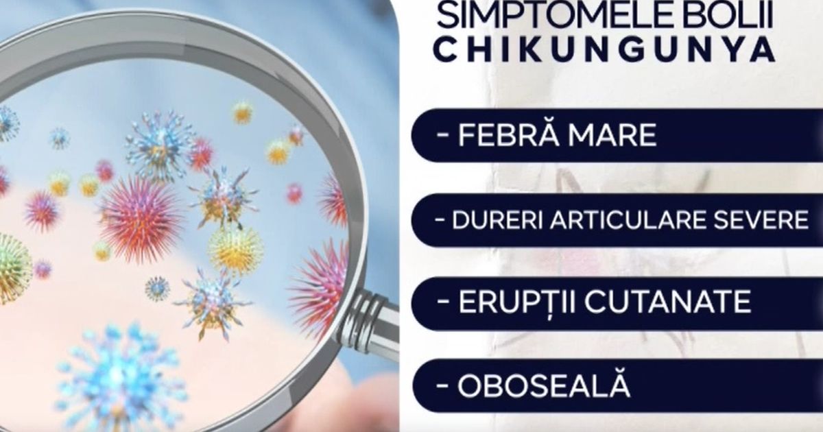 VIDEO Un nou caz de virus Chikungunya a fost confirmat în România ...