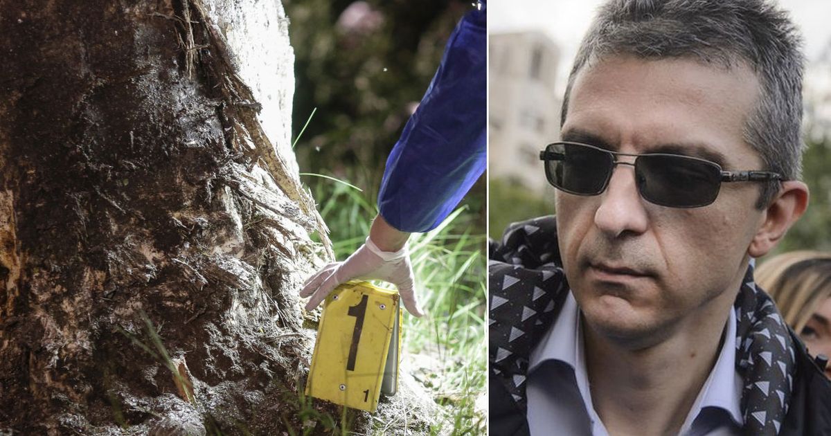 Rezultatul ADN: Dan Condrea se afla la volanul masinii in timpul ...