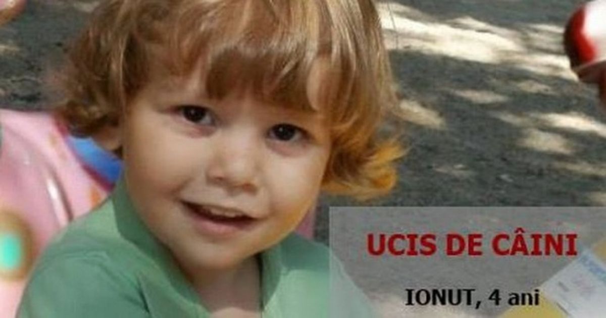 Familia lui Ionut Anghel, copilul ucis de câini, a primit despagubiri ...
