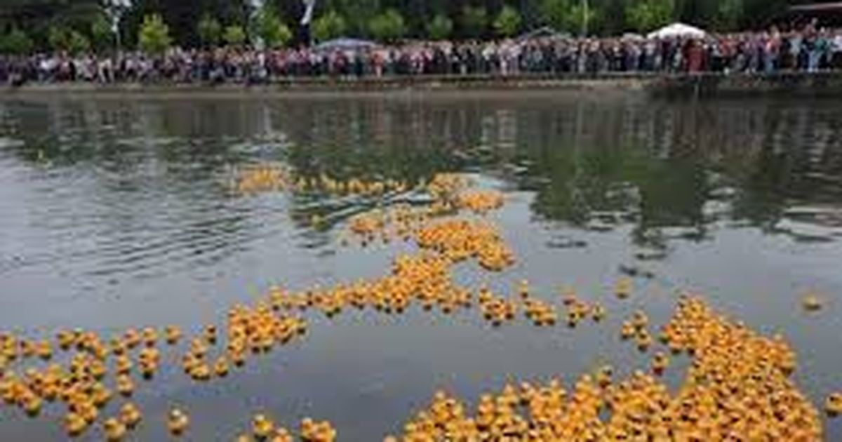 Peste 2000 de ratuste din plastic s-au luat la intrecere pe raul Somes ...