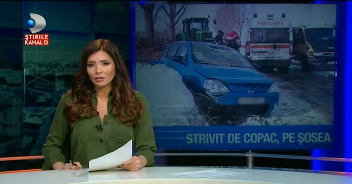 VIDEO: Inconstienta criminala. Au taiat un copac de la marginea ...
