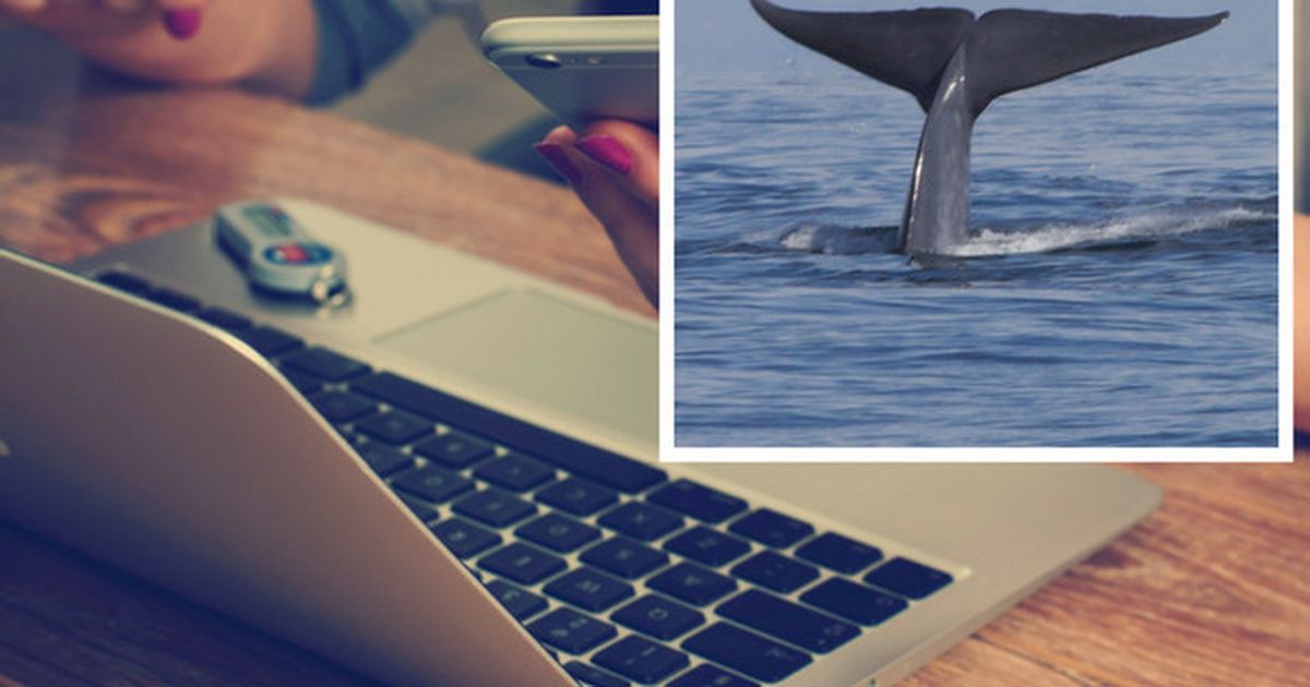 Ea este tanara de 19 ani care a devenit prima victima din Romania a ...