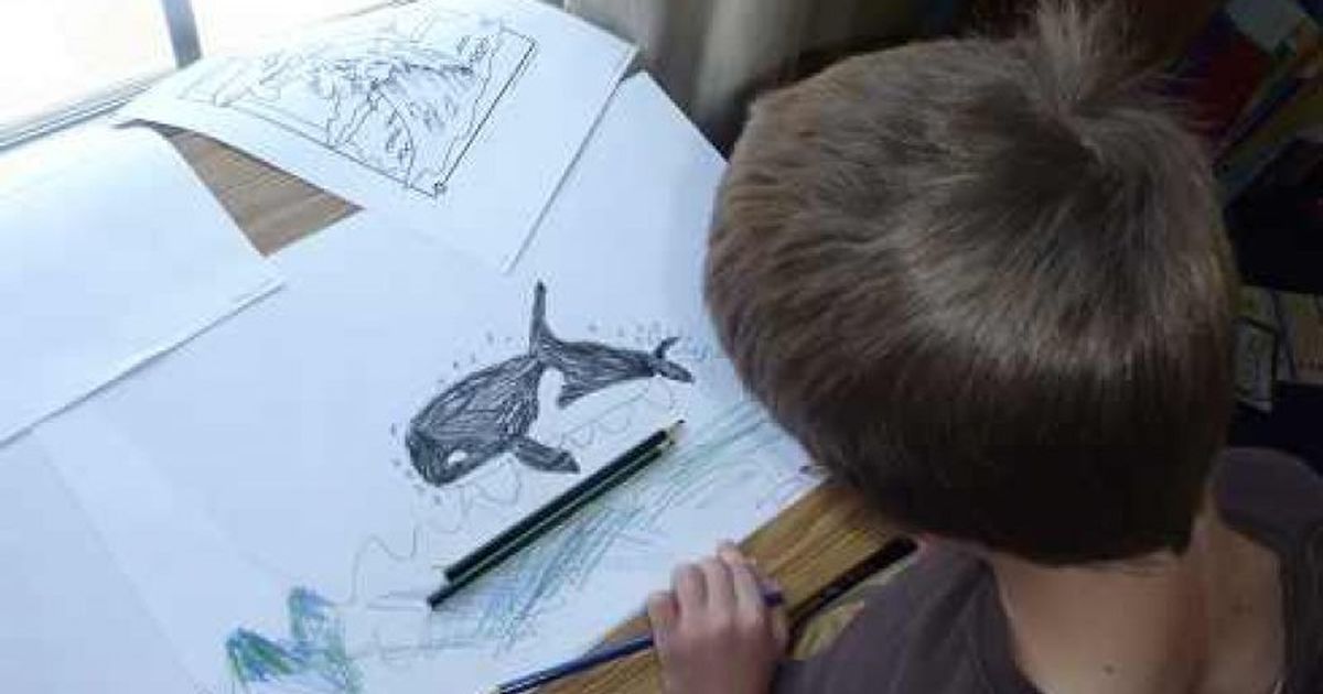 Un elev de 13 ani a fost salvat din gherele jocului "Balena Albastra ...