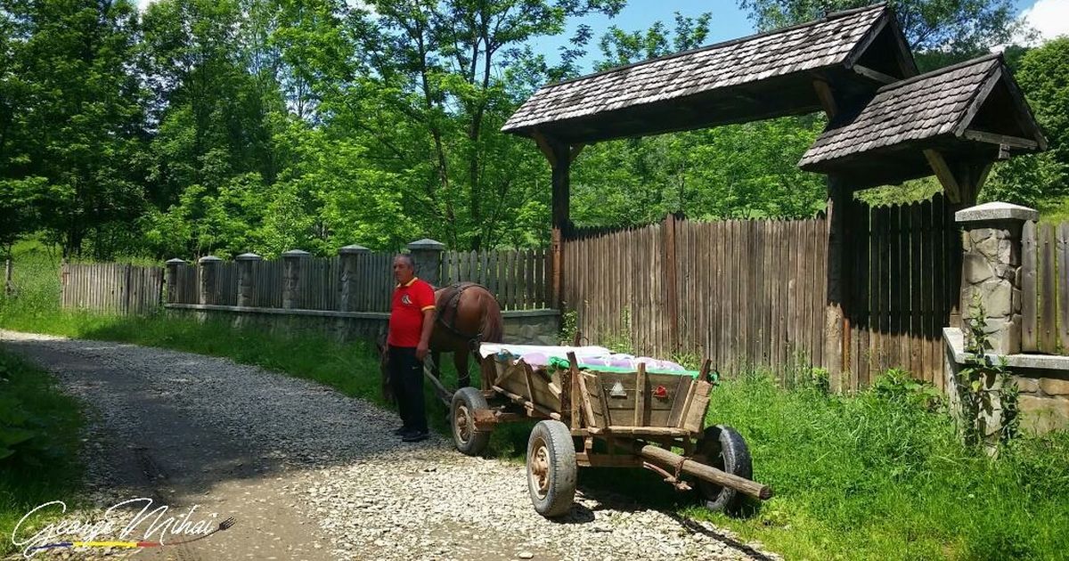 Alunis, una dintre cele mai frumoase statiuni din Prahova. Un petic de ...