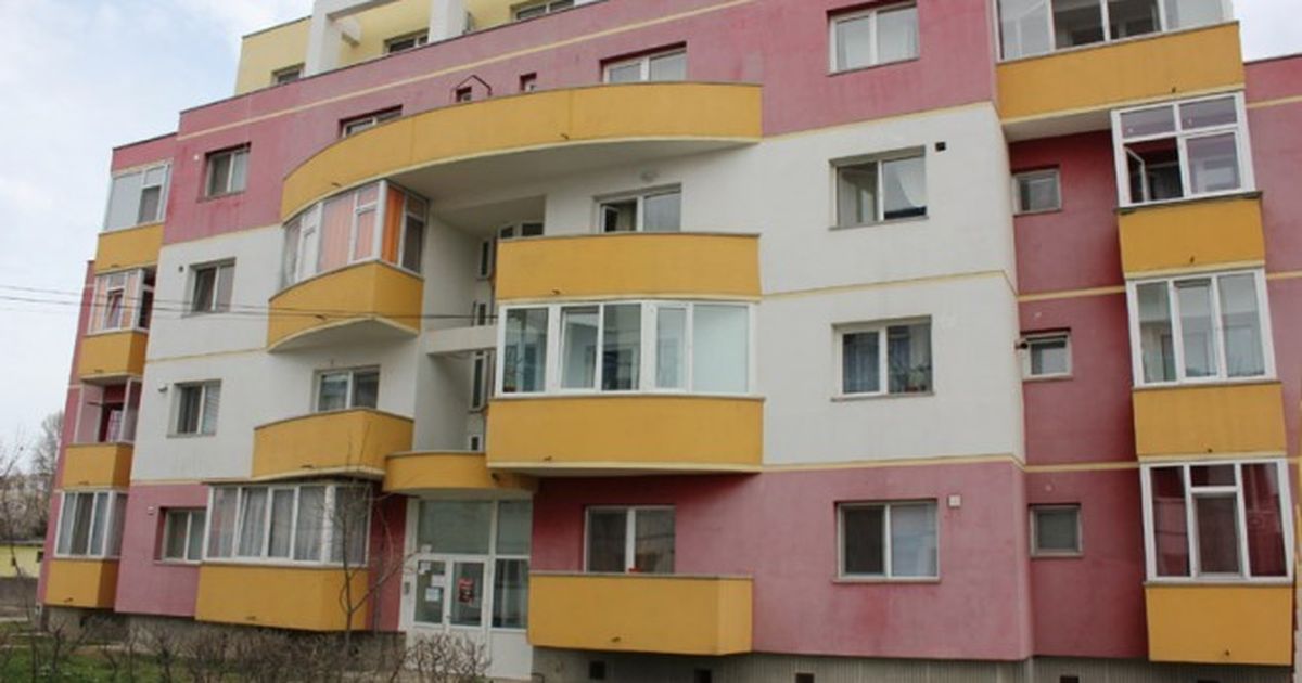 Locatarii unui bloc din Constanta au inlemnit cand au vazut "creatura ...