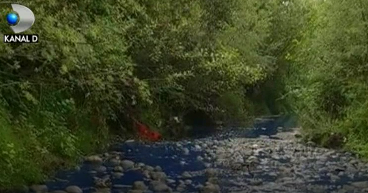 Unul dintre cele mai mari rauri din tara noastra ar putea fi poluat cu ...