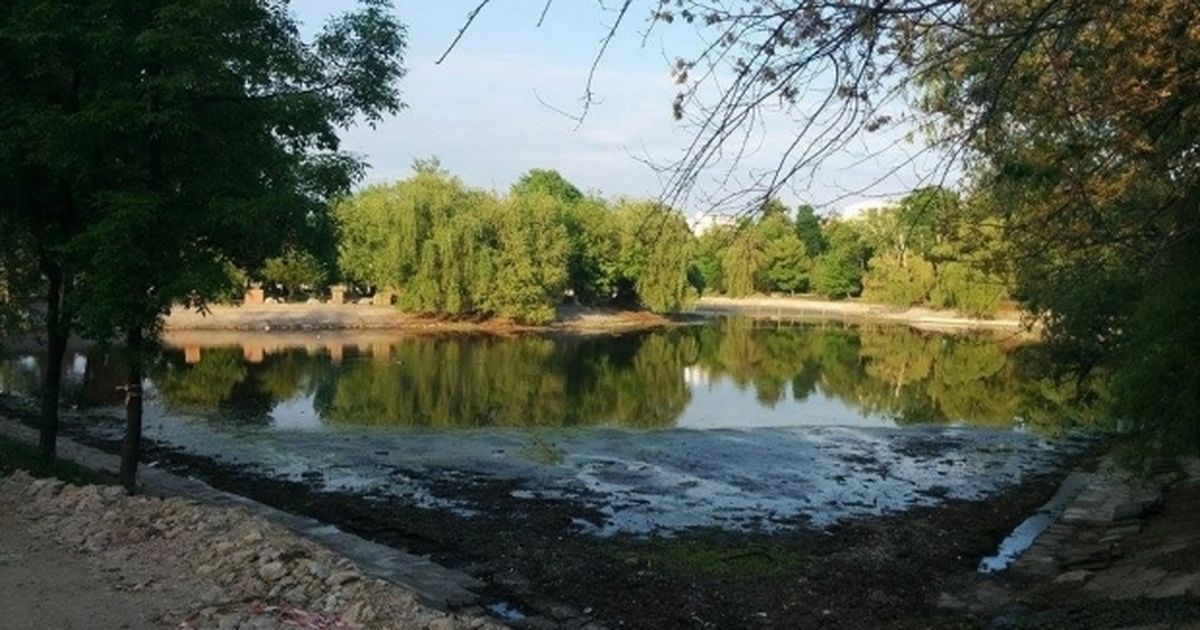Dezastru ecologic in Parcul Bordei! S-a aflat care a fost cauza mortii ...