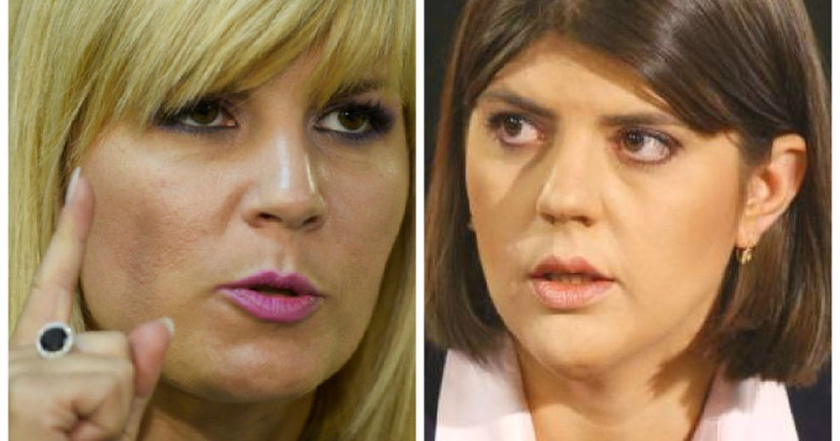 Elena Udrea, dezvaluiri despre cum a fost numita Laura Codruta Kovesi ...