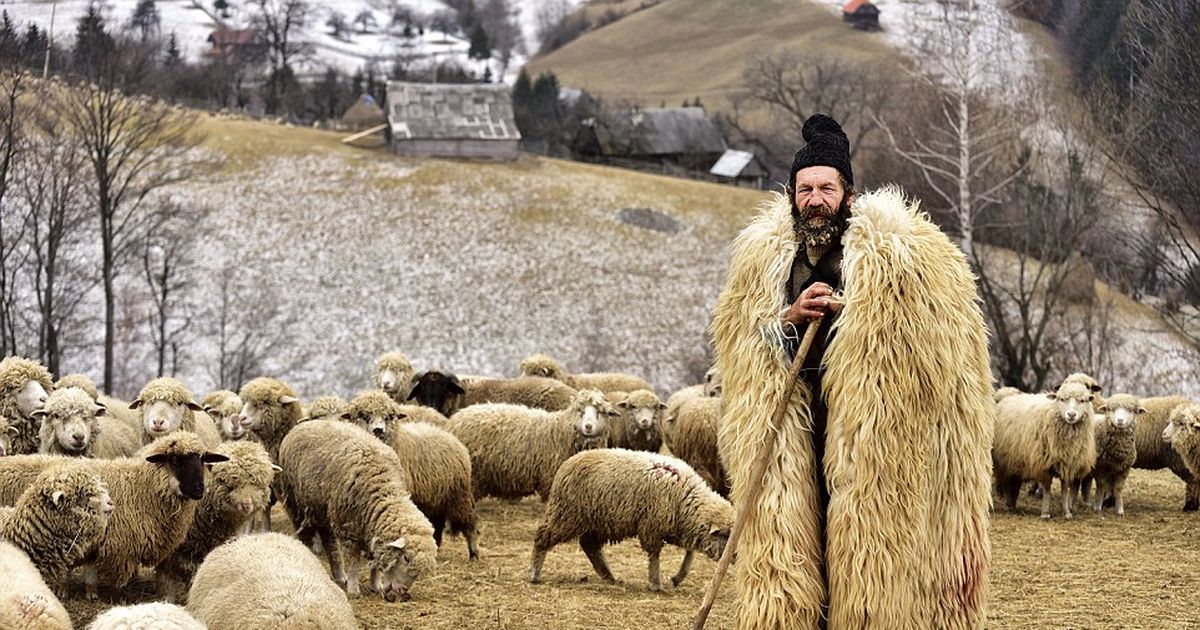 O fotografie cu un cioban din Transilvania, nominalizata la Sony World ...
