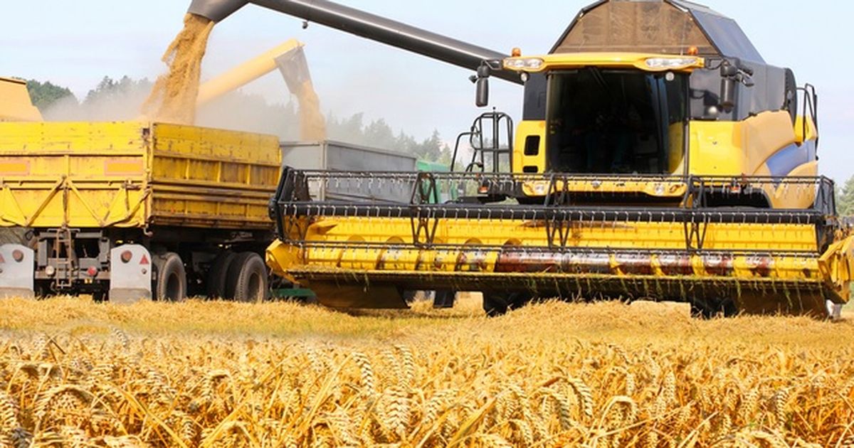 Un milion de hectare din suprafata arabila a Romaniei sunt controlate ...