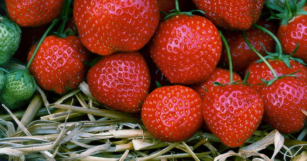 De ce sunt scumpe capsunile romanesti - Stirile Kanal D