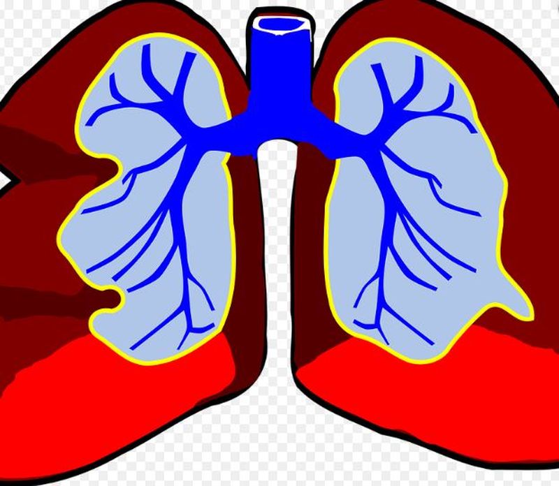 Aspectul unor plâmâni de fumători diferiți total de plămânii sănătos