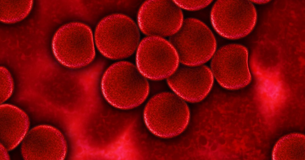 Informații de ultimă oră! A fost creat sângele artificial care poate ...