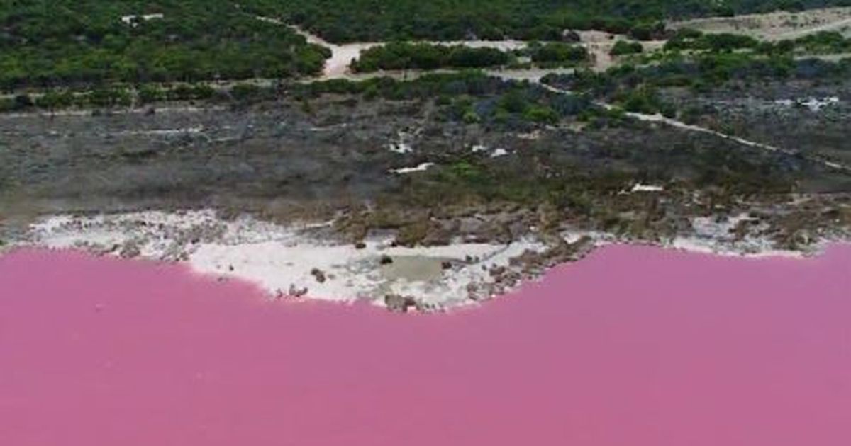 Fascinantul lac roz îi uimește pe turiști. Explicația pentru culoare ...