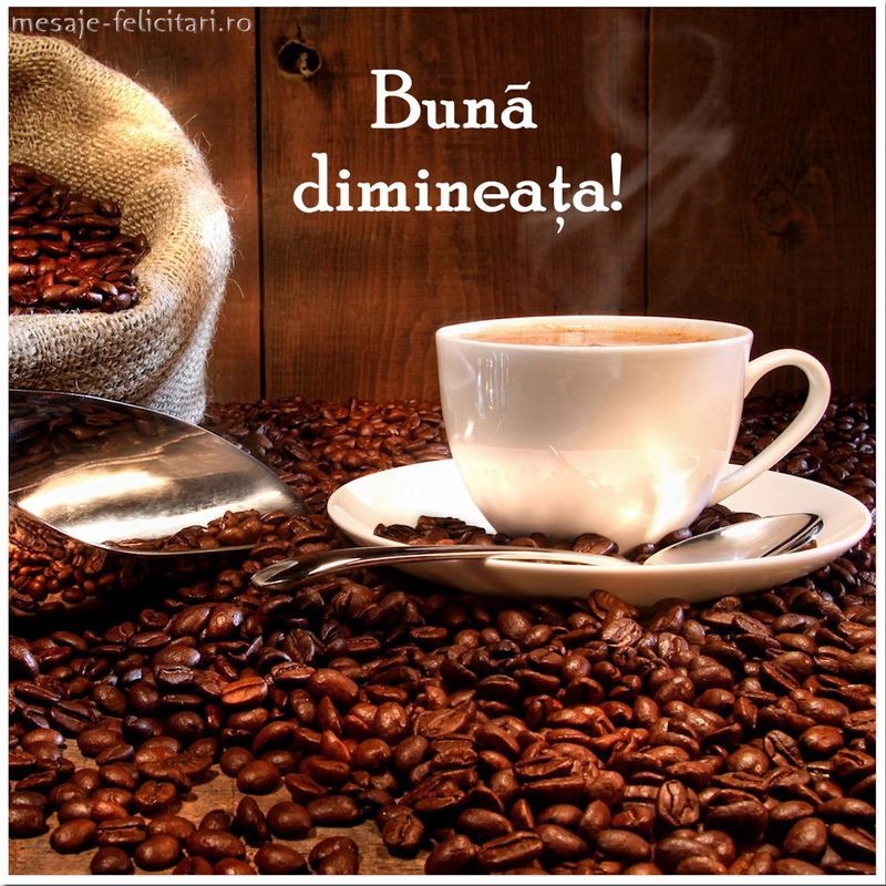 Mesaje de BUNĂ DIMINEAȚA: Imagini frumoase și haioase cu text - Stirile Kanal D