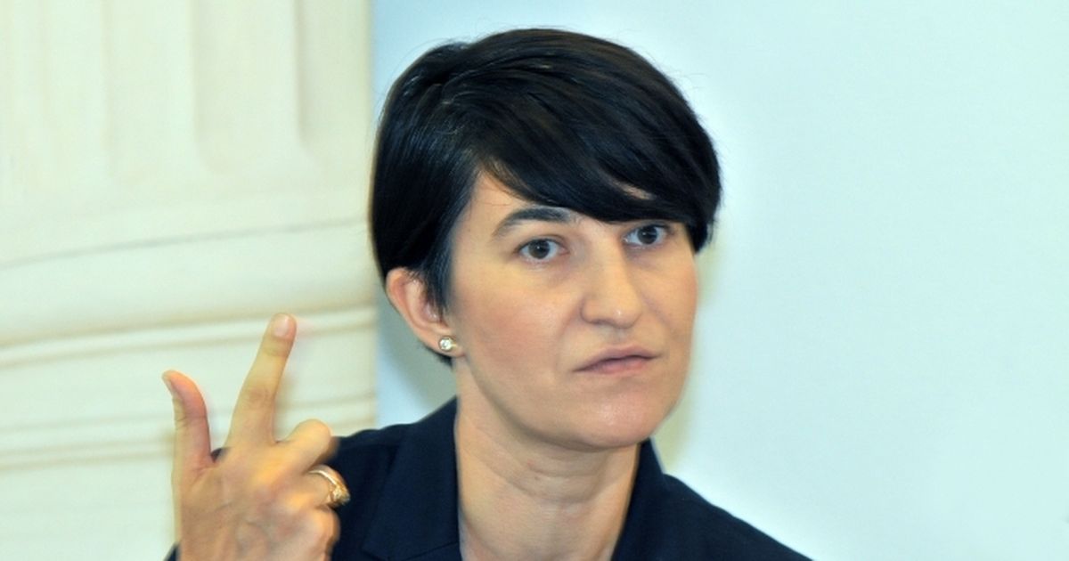 Violeta Alexandru despre cazul Ditrău: Orice om care vrea să muncească ...