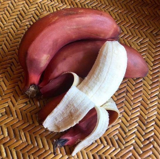 Banane roșii: Adevărul despre bananele micuțe din magazine? - Stirile ...