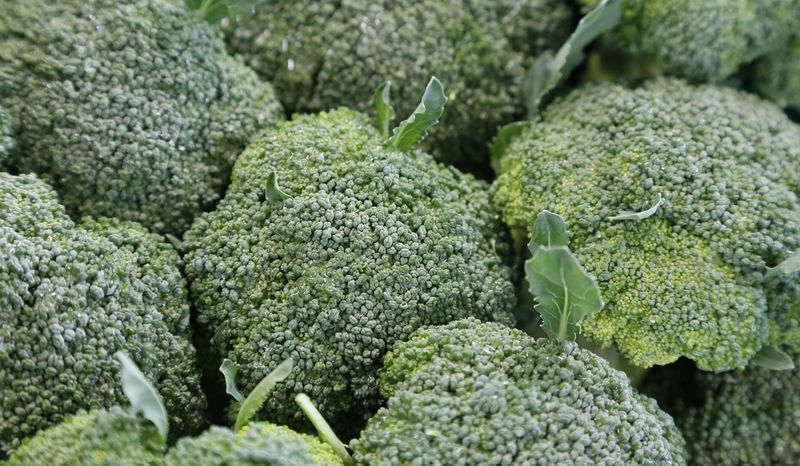Broccoli. Cum să îl gătești corect. Greșeala pe care o fac gospodinele