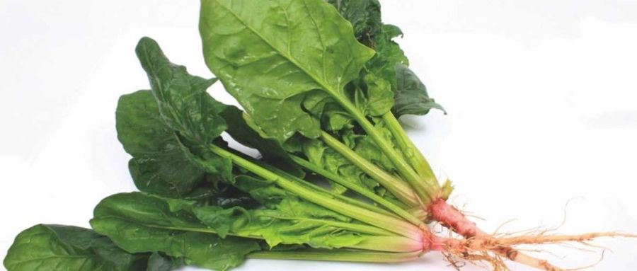 Spanac cu ou. O rețetă sănătoasă și extrem de gustoasă - Stirile Kanal D