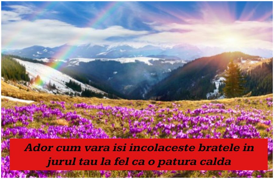 Mesaje de vară. Cele mai frumoase statusuri pentru prieteni - Stirile ...