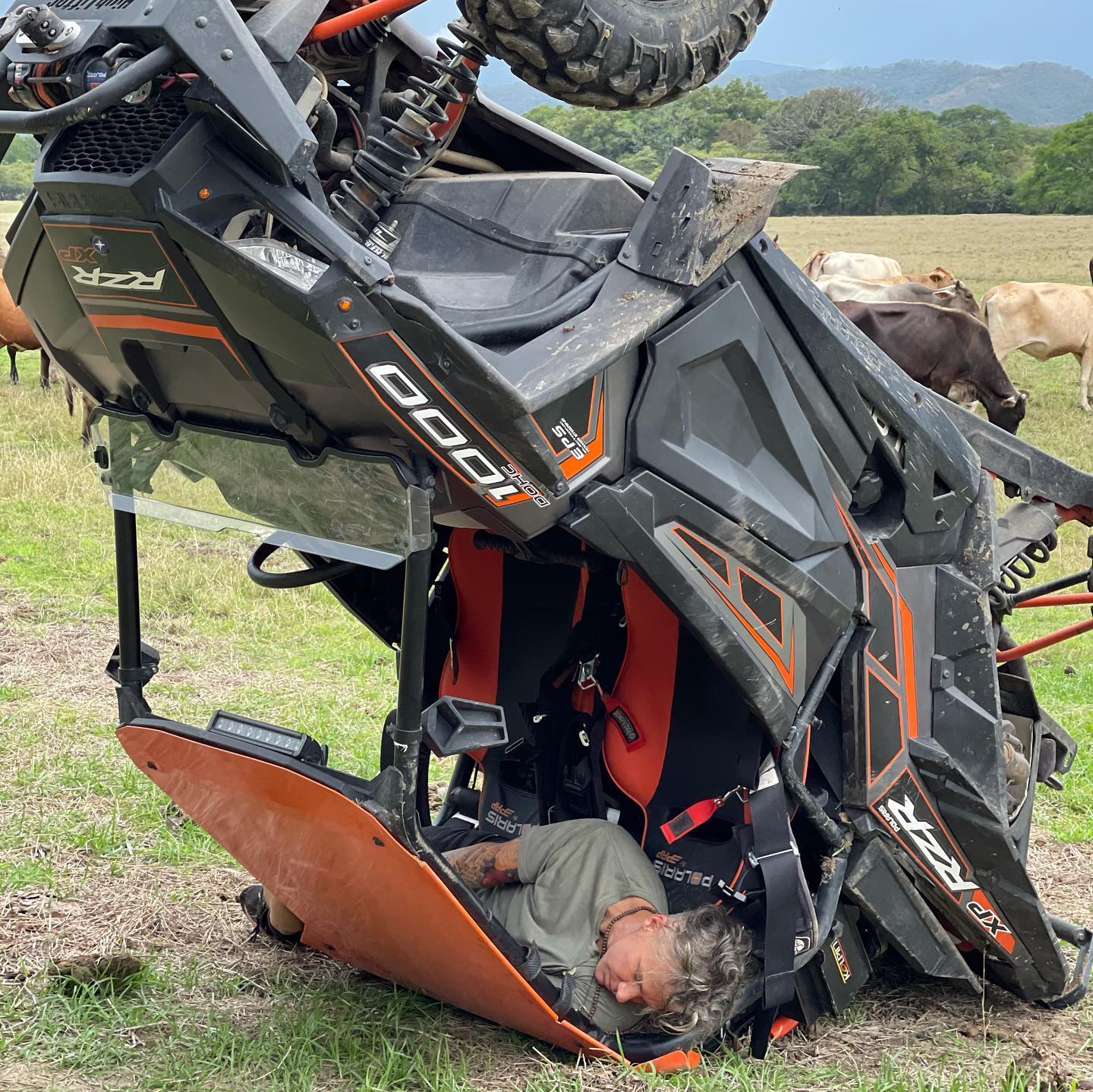Cum arată astăzi Fernando Carillo, actorul care a jucat alături de ...