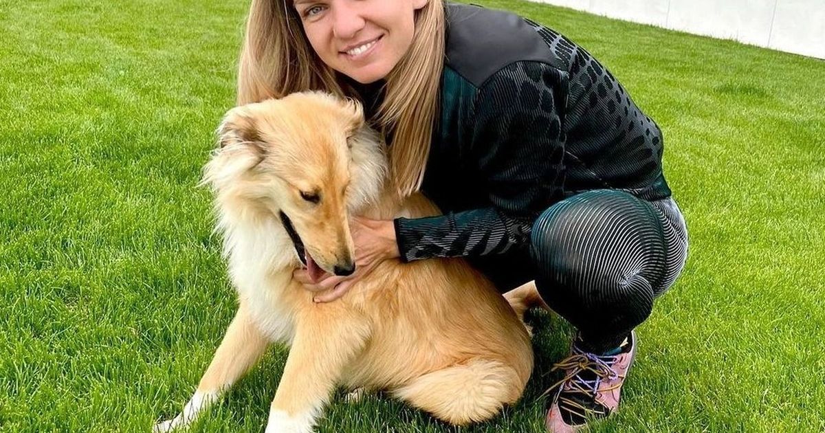 „Fiecare pe drumul său”. Simona Halep, prima reacție după ce a divorțat ...