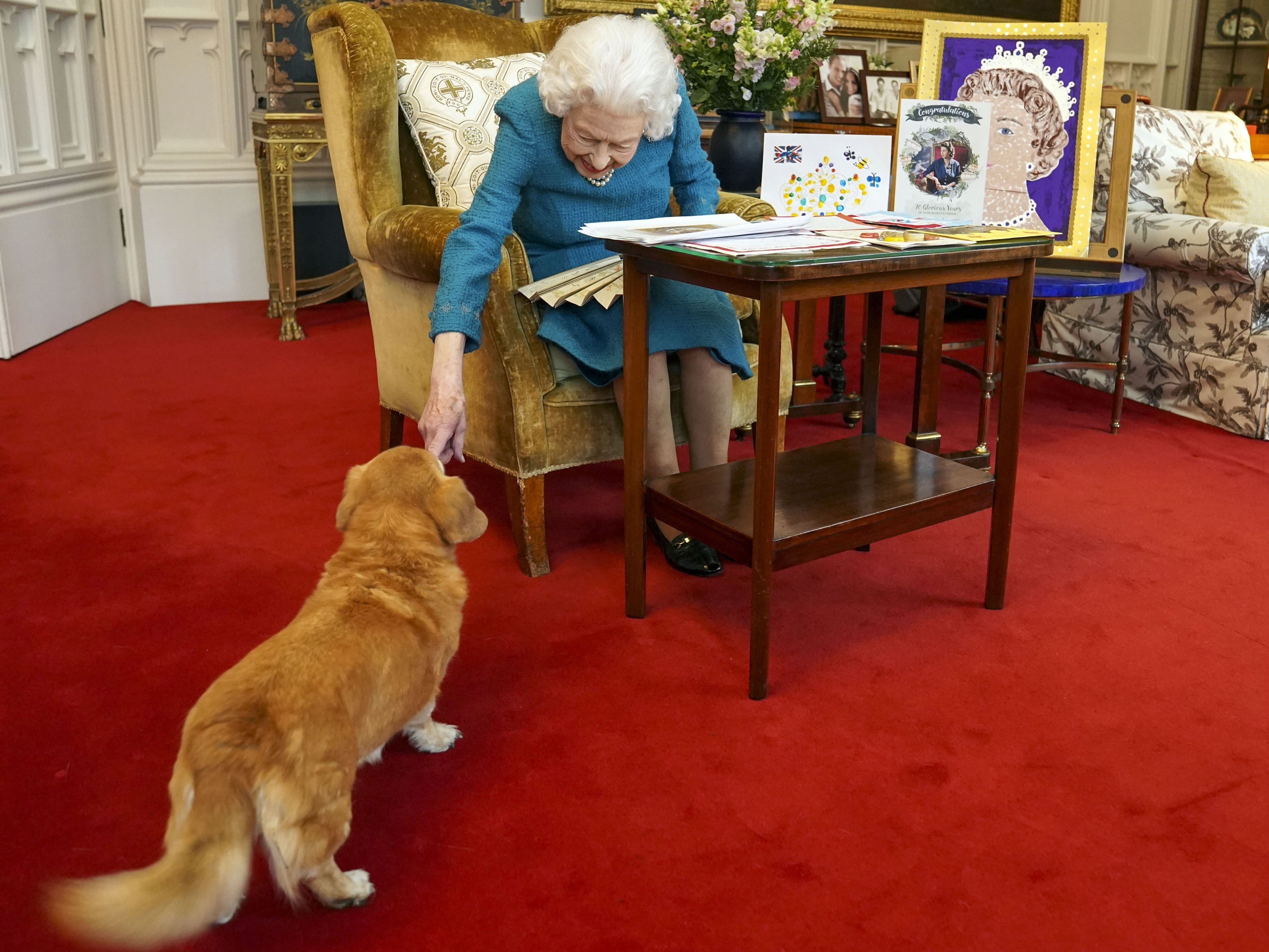 Câinii Reginei Elisabeta. Cum a ajuns rasa Corgi cunoscută în întreaga ...
