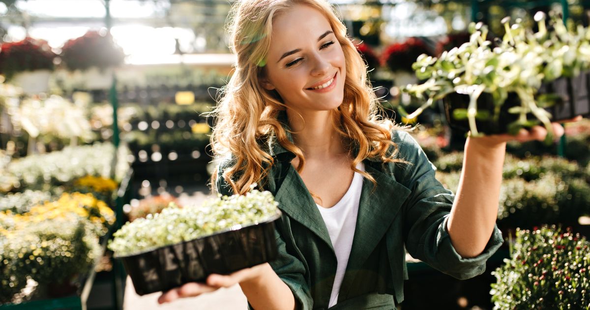 Cu ce se asortează culoarea kaki. Ce trebuie să eviți atunci când porți ...