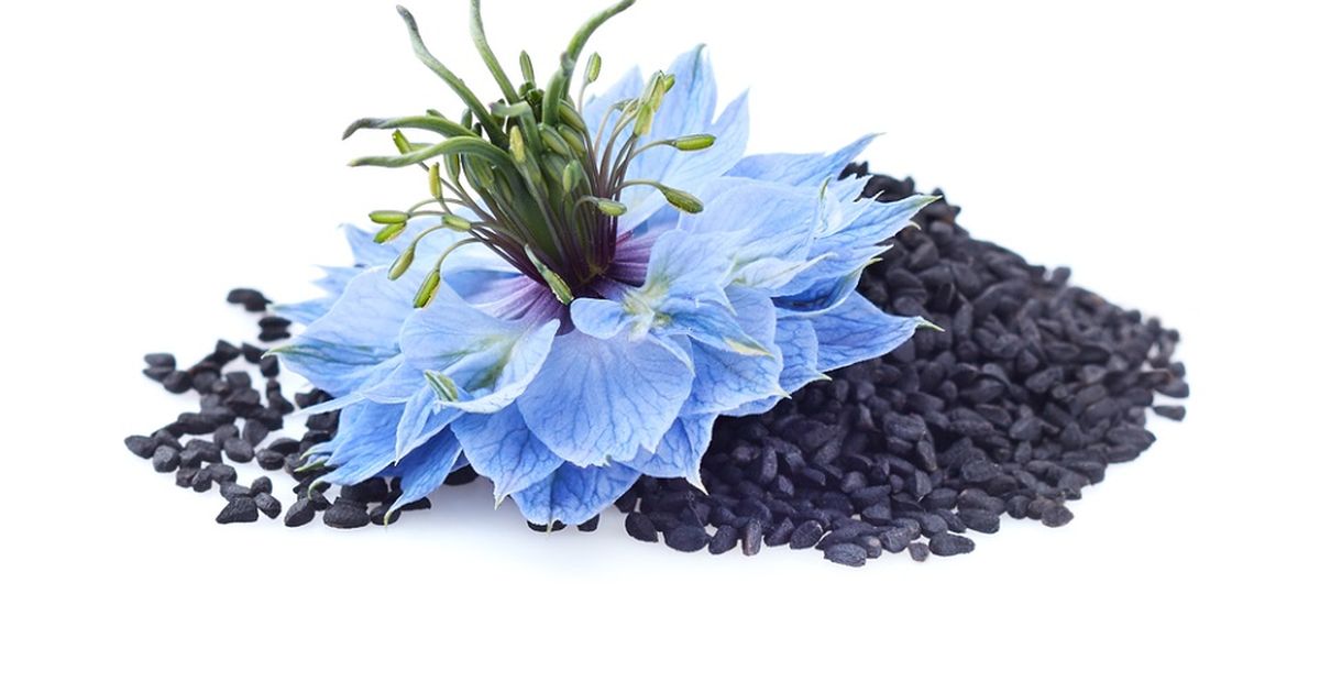 Chimenul negru: cum îl consumi și ce beneficii are - KFetele