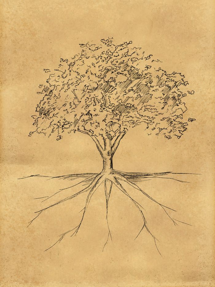 Testul copacului. Ce spune despre tine desenul tău - KFetele