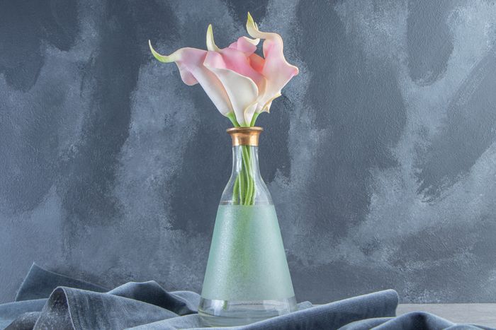 E bine sau nu să ai Cala în casă? Ce semnificație are această floare ...